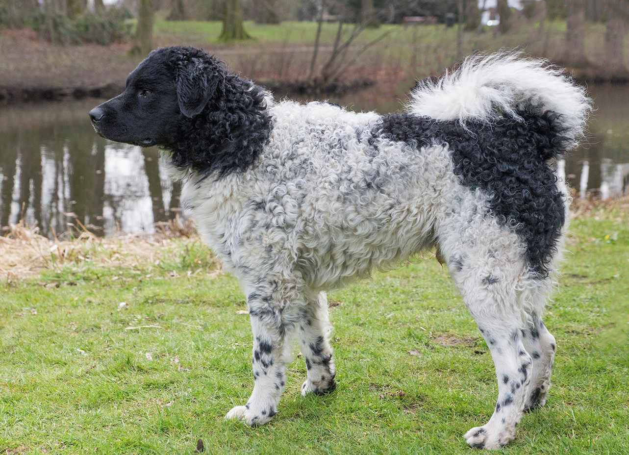 2022: Nest Foske x Eise